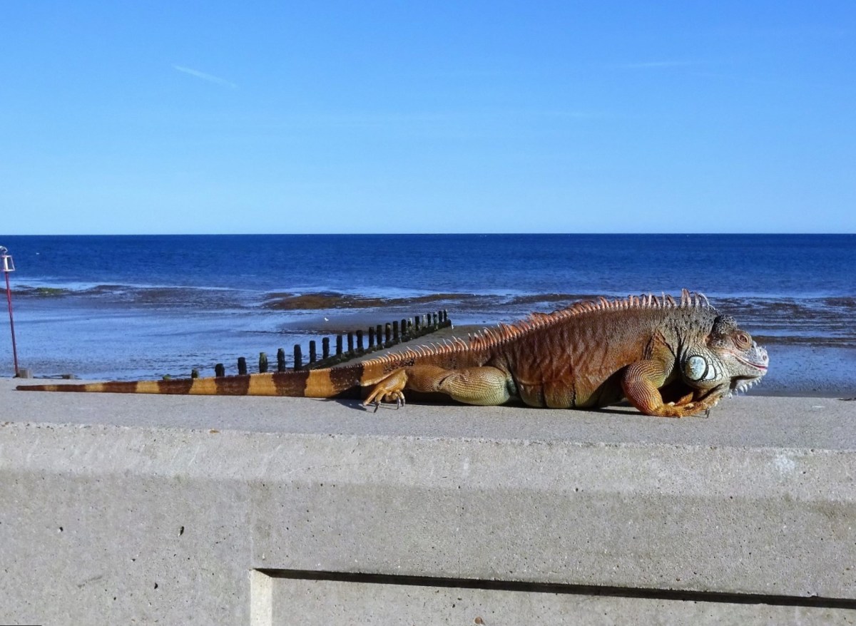 Week 189: Degree & Higher Apprenticeship data 2020 to 2023 – quiet but ...